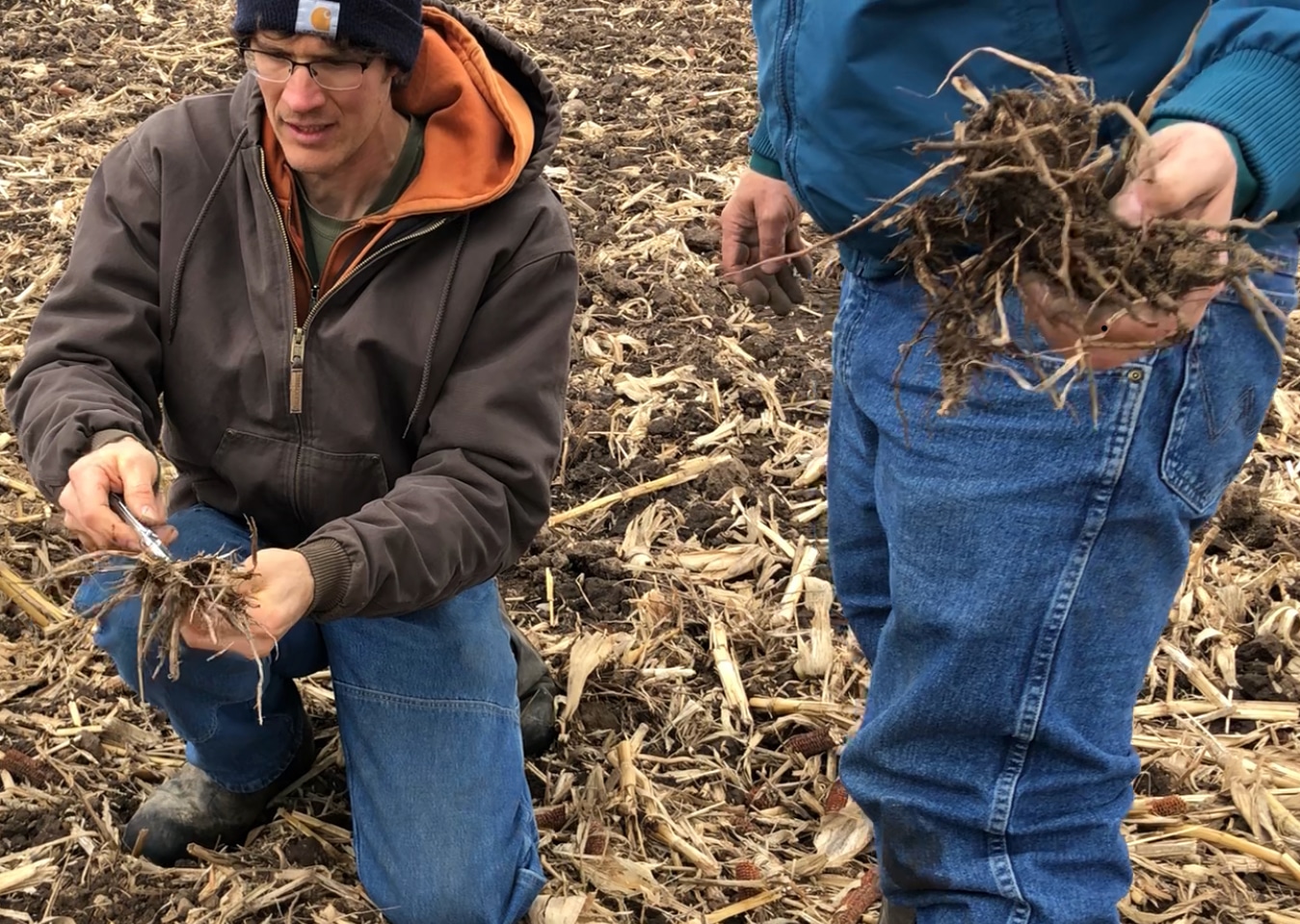 ST Biologicals | Regenerative Agriculture Products and Mentoring